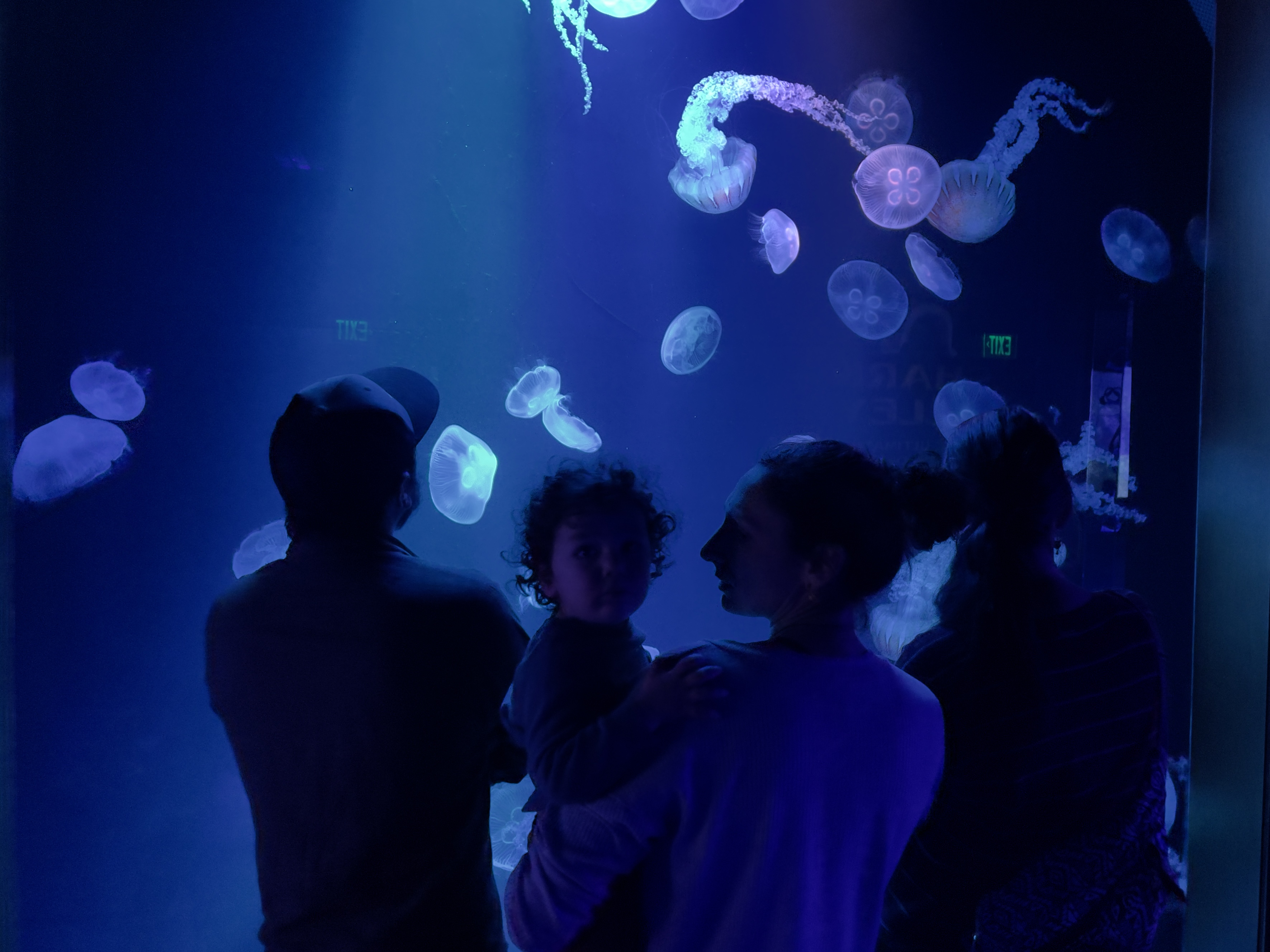 TOO CLOSE – Something Gigantic